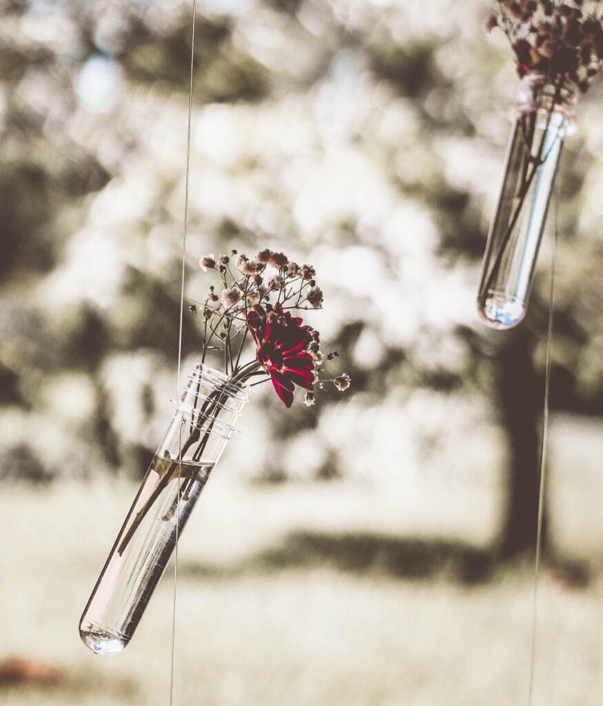 7 Ideas for Collaborative Poetry Projects in Nature That Spark Wonder ...