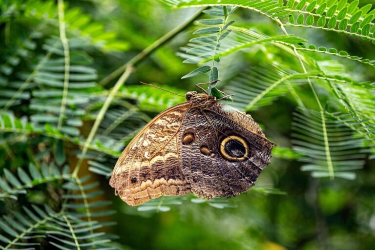 7 Symmetry in Nature Activities for Kids That Spark Wonder Outdoors ...